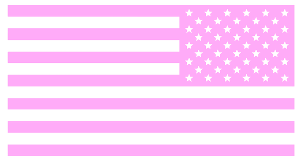 LIGHT PINK American Flag USA Patriotic Viny Decal - Pick Size ...