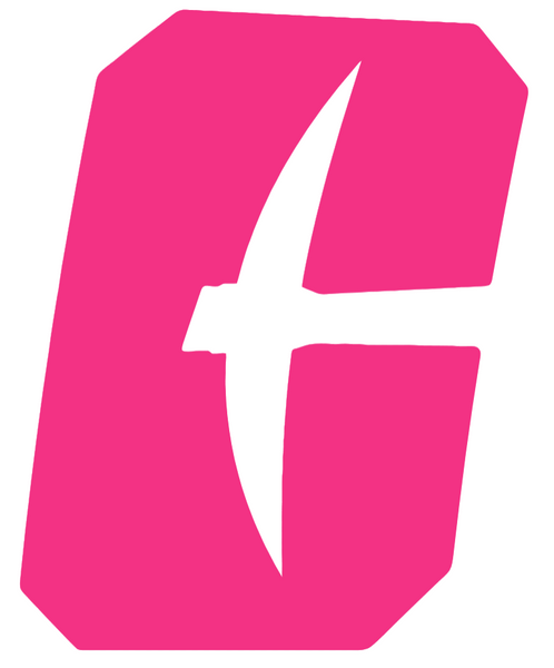 Charlotte 49ers HOT PINK Team Logo Premium Vinyl Decal PICK SIZE ...