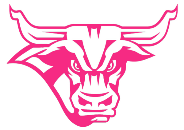 Minnesota State Mavericks HOT PINK Team Logo Premium Vinyl Decal ...