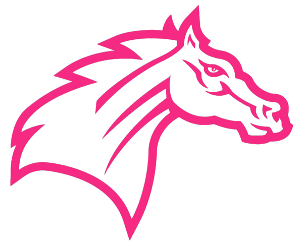 Rider Broncos HOT PINK Team Logo Premium Vinyl Decal PICK SIZE ...