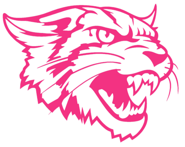 Bethune Cookman Wildcats HOT PINK Mascot Logo Vinyl Decal PICK SIZE ...