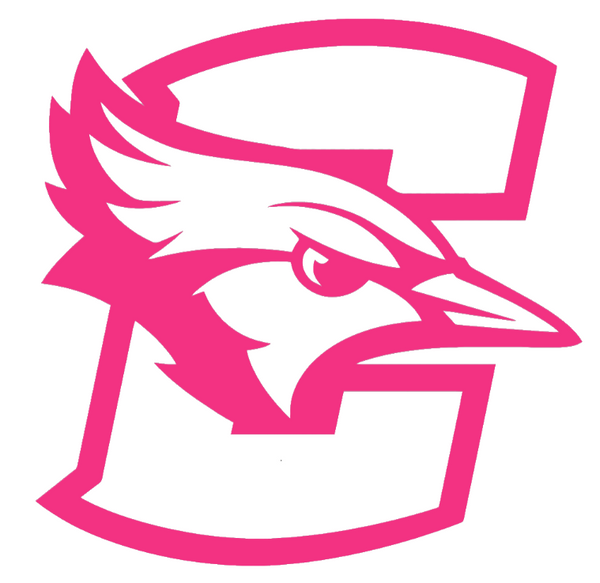 Creighton Blue Jays HOT PINK Premium DieCut Vinyl Decal PICK SIZE ...