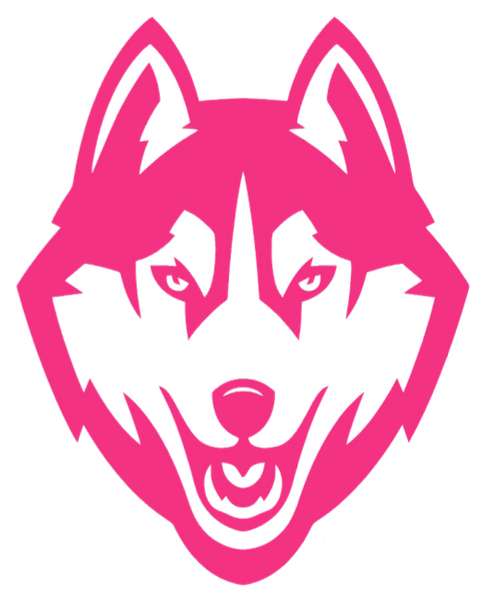 UConn Huskies HOT PINK Team Logo Premium DieCut Vinyl Decal PICK SIZE ...