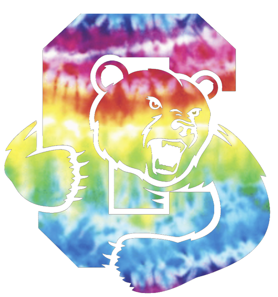 Cornell Big Red Team Logo Crucial Catch Cancer Tie Dye Vinyl Decal ...