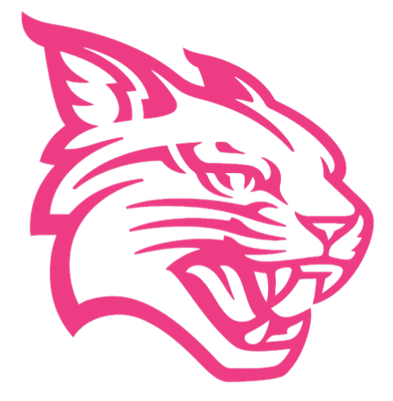 Davidson Wildcats HOT PINK Premium DieCut Vinyl Decal PICK SIZE ...