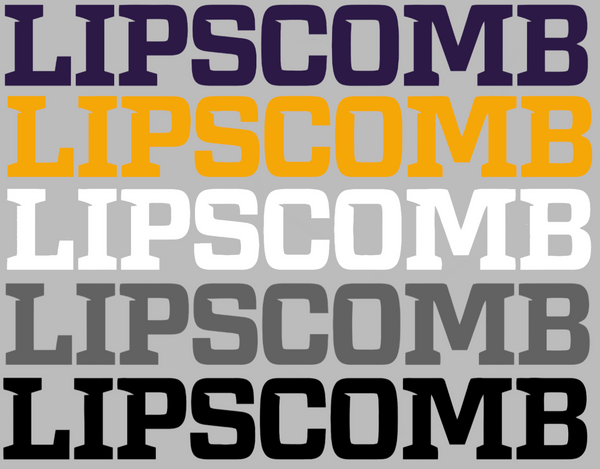 Lipscomb Bison Team Name Logo Premium Vinyl Decal PICK COLOR & SIZE ...