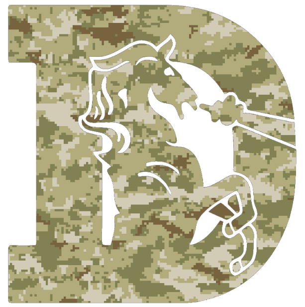 Denver Broncos Camo Logo Denver Broncos Camouflage Light Up Printed