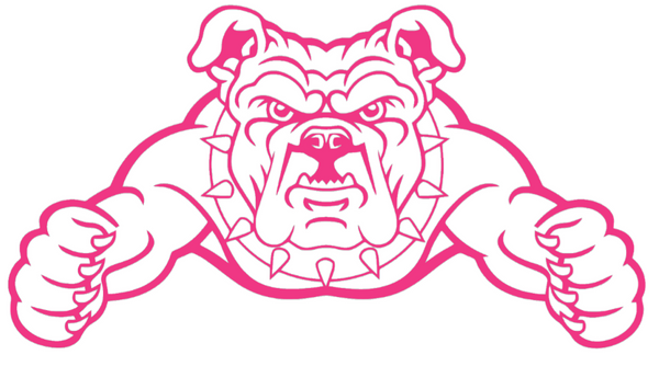 North Carolina AT&T Aggies HOT PINK Team Logo Vinyl Decal PICK SIZE ...