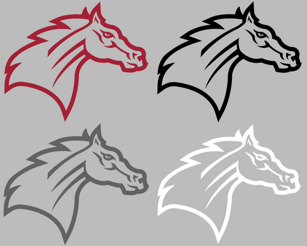 Rider Broncos Team Logo Premium Vinyl Decal PICK COLOR & SIZE ...
