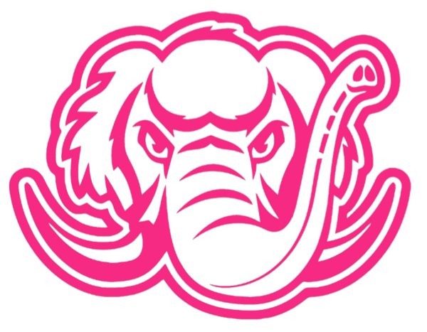 Purdue Fort Wayne Mastodons HOT PINK Team Logo Vinyl Decal PICK SIZE ...