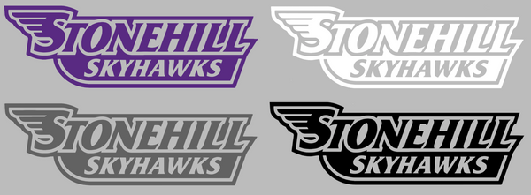 Stonehill Skyhawks Team Name Logo Premium Vinyl Decal PICK COLOR SIZE ...