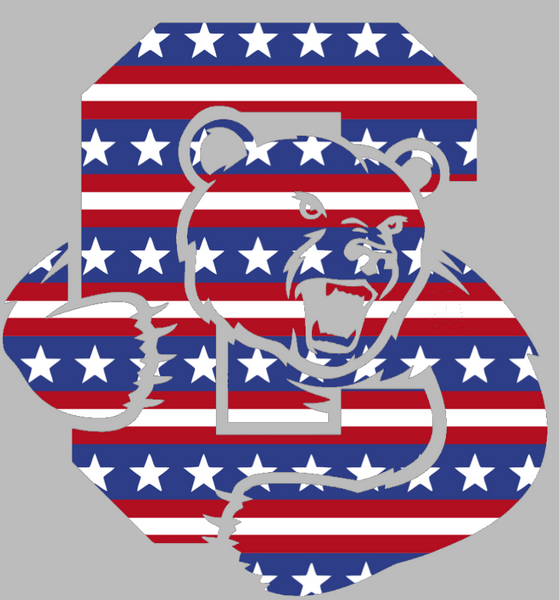 Cornell Big Red Team Logo Stars & Stripes American Flag Vinyl Decal ...