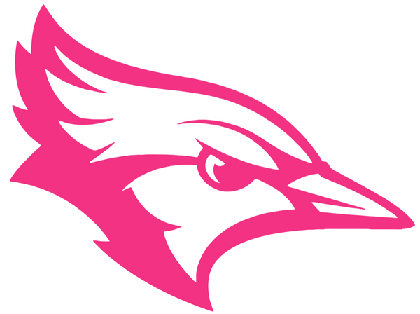 Creighton Blue Jays HOT PINK Mascot Logo Premium Vinyl Decal PICK SIZE ...