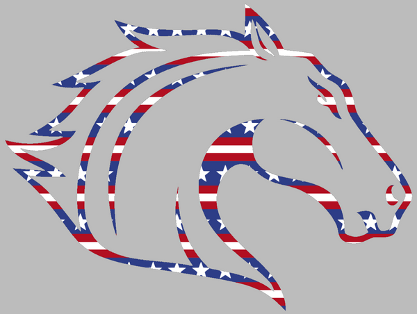 Texas Arlington Mavericks Team Logo Stars & Stripes Flag Vinyl Decal ...