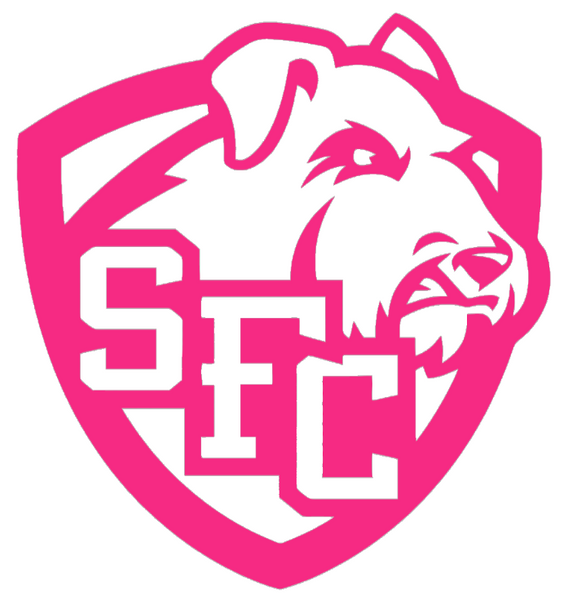 St Francis Terriers HOT PINK Alternate Logo Vinyl Decal PICK SIZE ...
